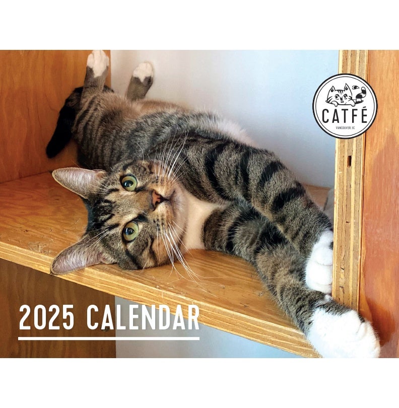 Catfe Calendar 2025 PRE-ORDER | CATFÉ